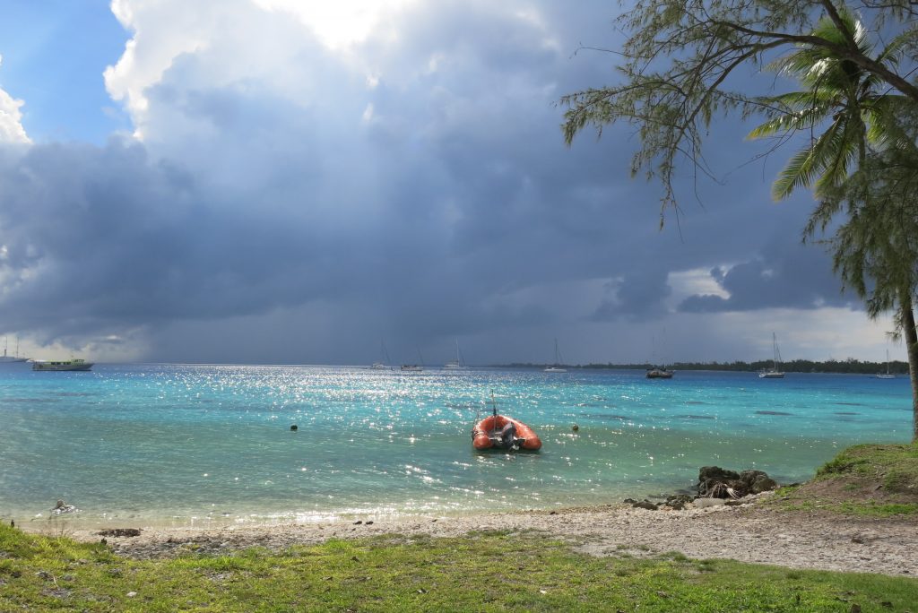Price - Rangiroa Plongée | Diving Center In Rangiroa, French Polynesia ...