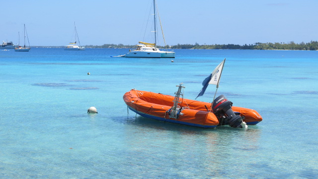 Price - Rangiroa Plongée | Diving Center In Rangiroa, French Polynesia ...